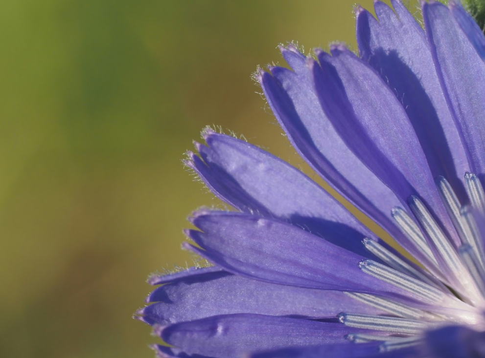 Niacinamide benefits for skin | By Sarah Skincare